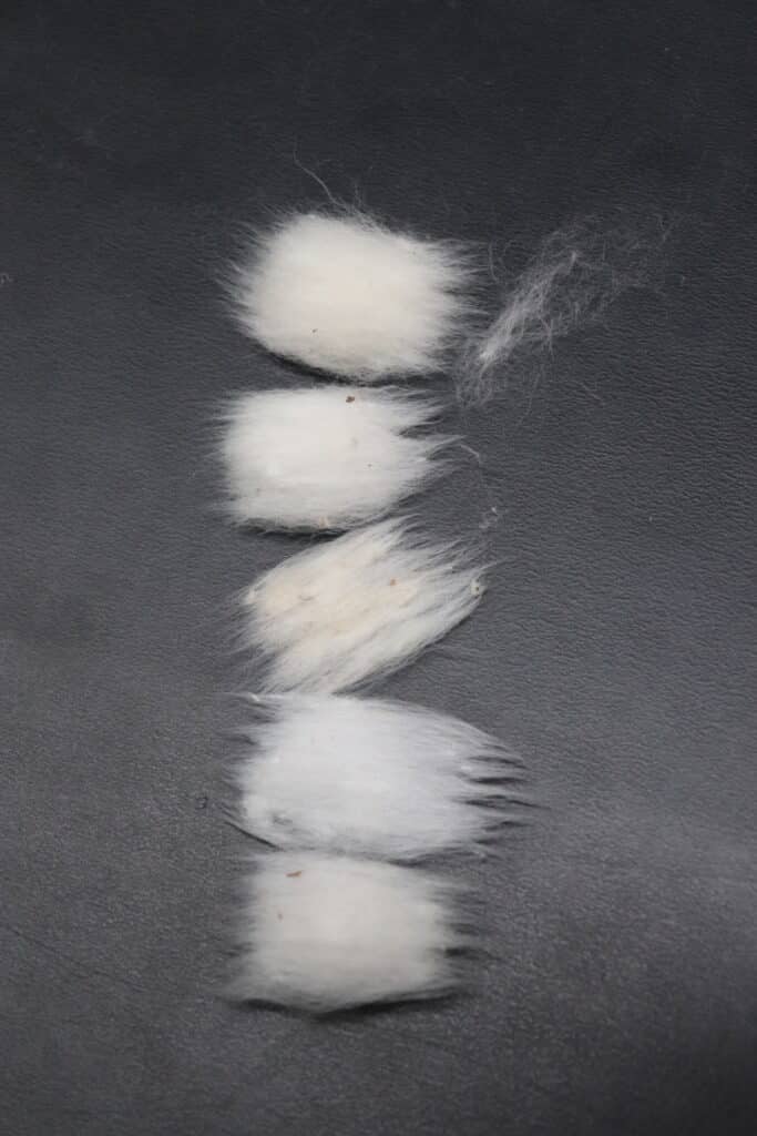 Cotton Grades Standard - ICA Bremen